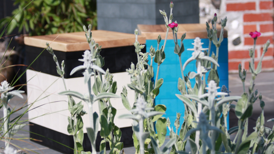 Morph Bio Cubes | Morph Bricks